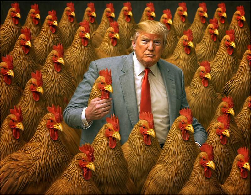 Trump’s path | Freepress.org